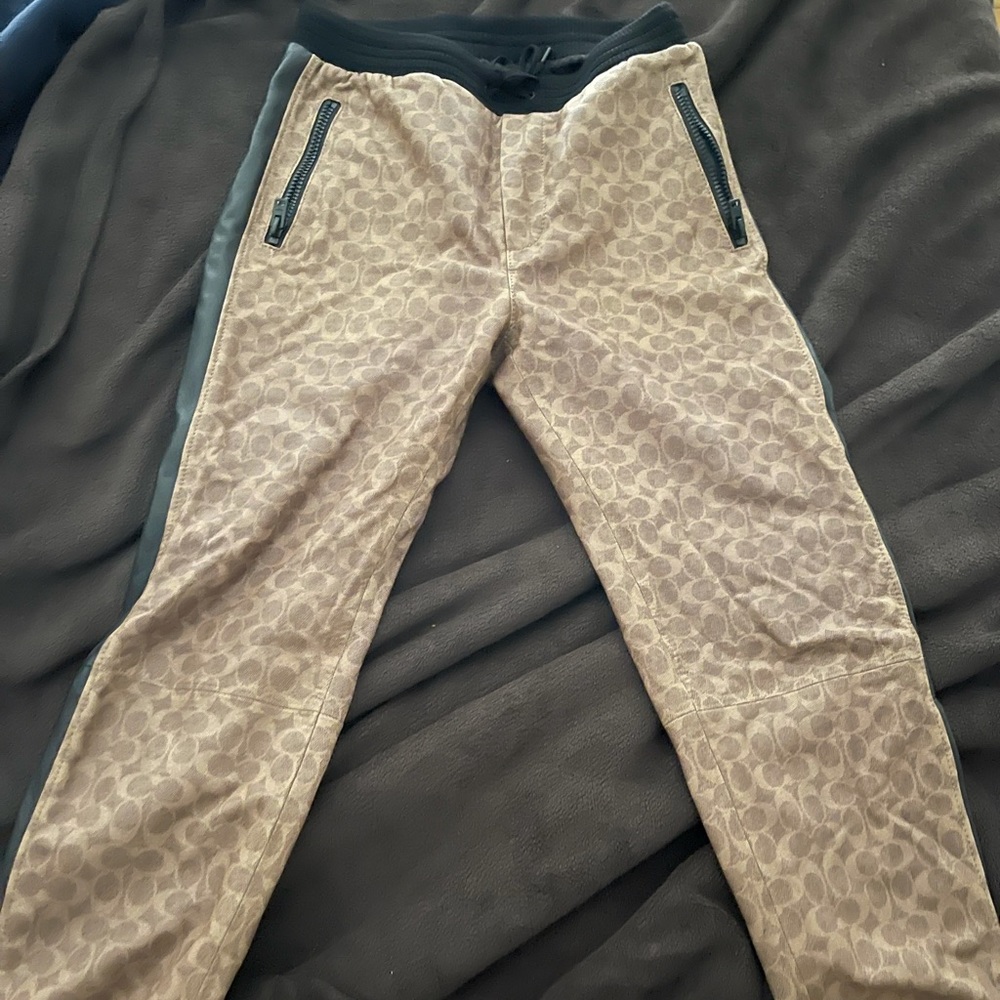 2018 Season Coach Lamb Skin Joggers - Gem